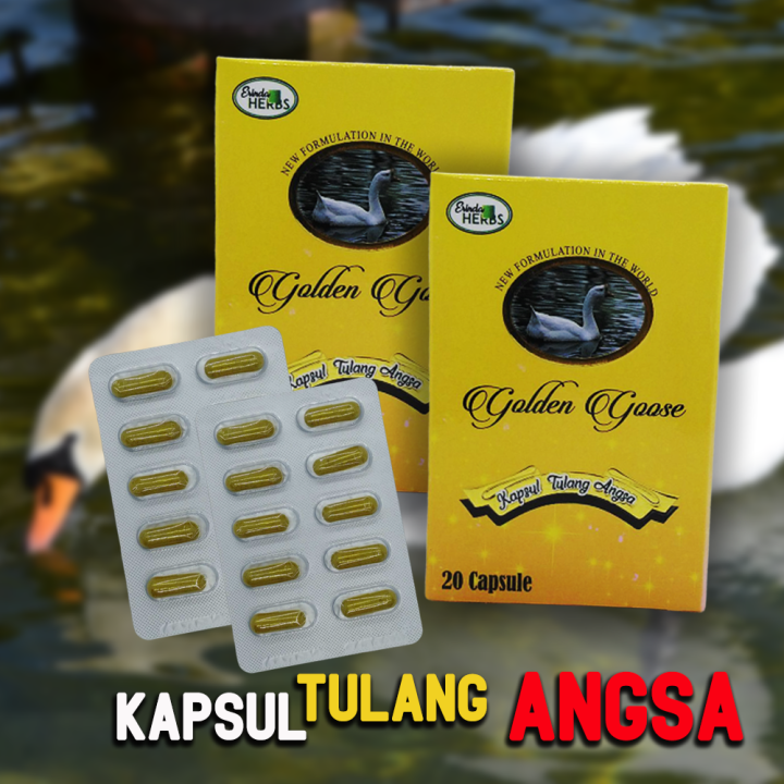 ubat Tulang angsa rawatan tulang patah 20 biji kapsul | Lazada