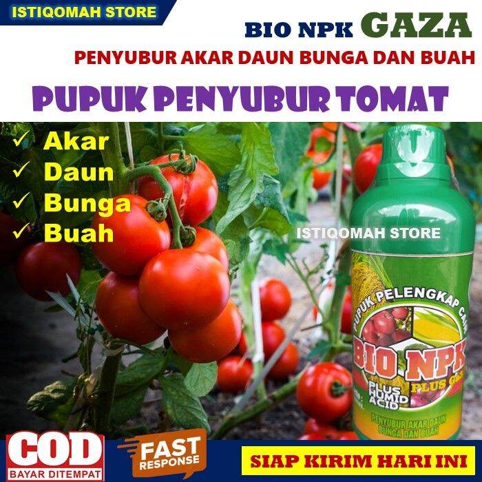 Pupuk Penyubur Akar dan Daun Tomat NPK GAZA 500ML Pupuk NPK Cair Pelebat Bunga dan Buah Tomat ...
