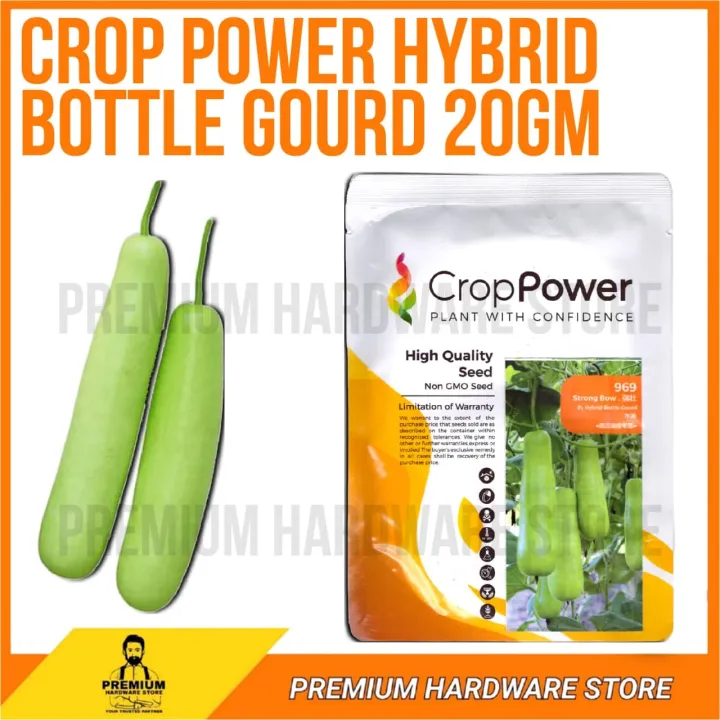 CROP POWER (F1 HYBRID 969) 20G Bottle Gourd Seeds Biji Benih Labu Air ...