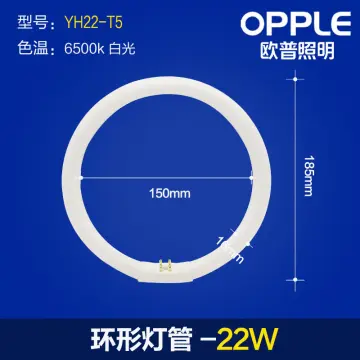 T6 Circular Light Bulb | Shelly Lighting