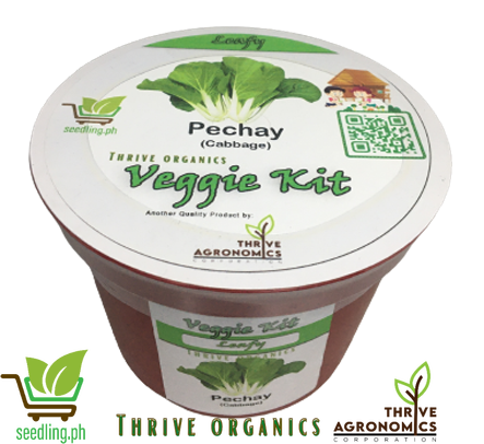 Pechay | Tagalog | Green Leafy Veggie Kit | Grow Kit | Seedling Kit ...