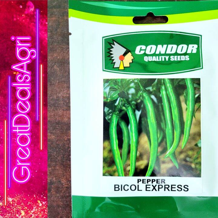 BICOL EXPRESSS OPV PEPPER SEEDS (1.5 GRAMS) CONDOR SEEDS | Lazada PH