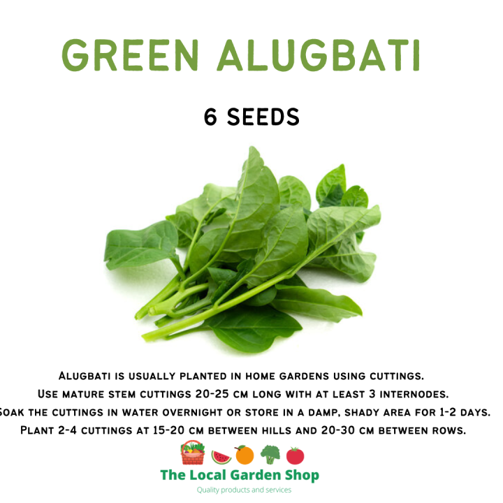 GREEN ALUGBATI - 6seeds | Lazada PH