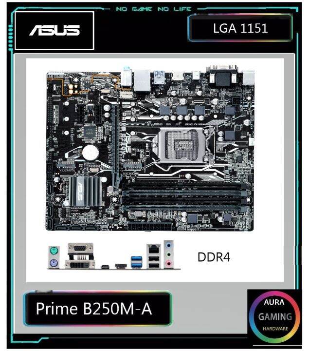 1151 MAINBOARD ASUS PRIME B250M-A DDR4 GEN6-7th | Lazada.co.th