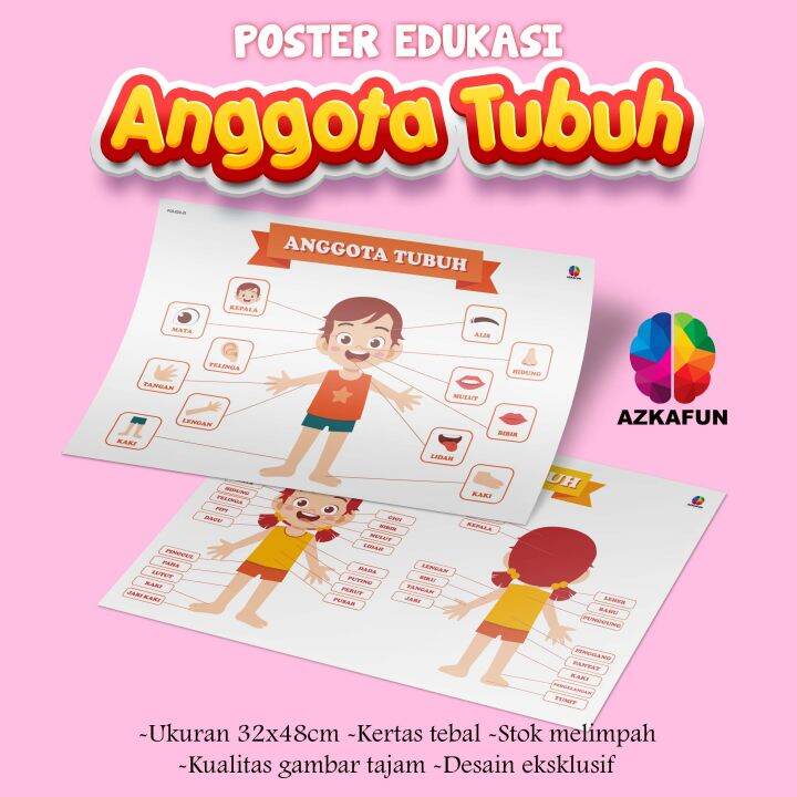 Poster Edukasi ANGGOTA TUBUH - Poster edukasi anak | Lazada Indonesia