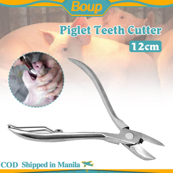 12cm Stainless Steel Pig Tooth Nipper Piglet Teeth Cutter for Dog ...
