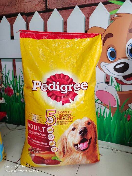 Pedigree Adult 20kg | Lazada PH