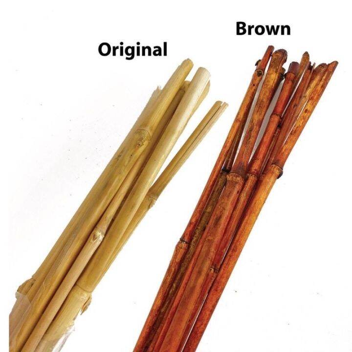 Ready stock +-57cm Bamboo Stick For Flower Arrangement / Buluh Orkid ...