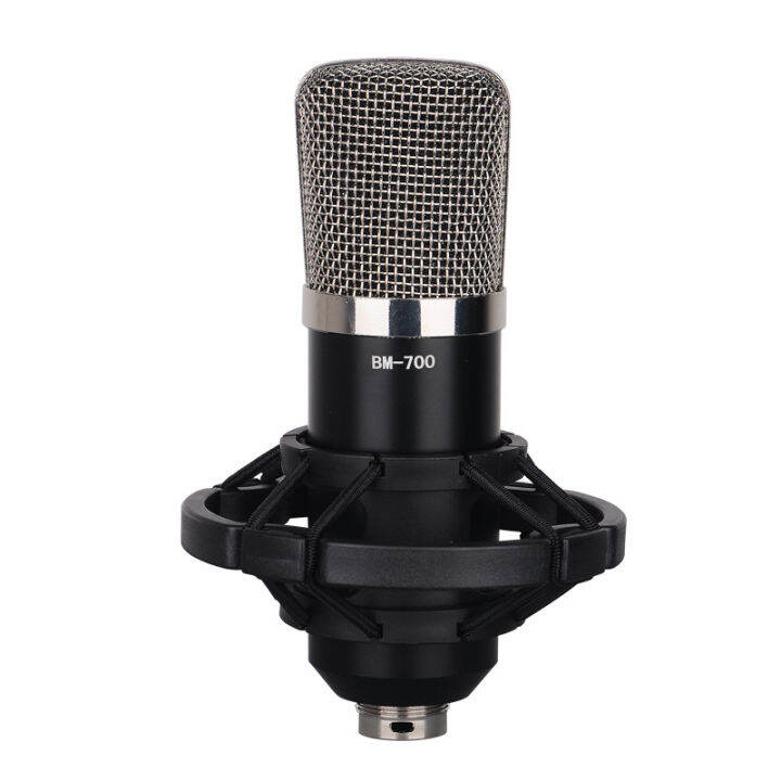 BM-700 Professional Condenser Microphone Kit:Microphone For Computer ...