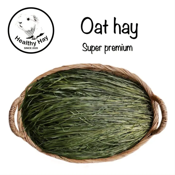 หญ้าโอ๊ตคัดยอดเน้นใบ - Oat hay by Healthy Hay (130g.) | Lazada.co.th