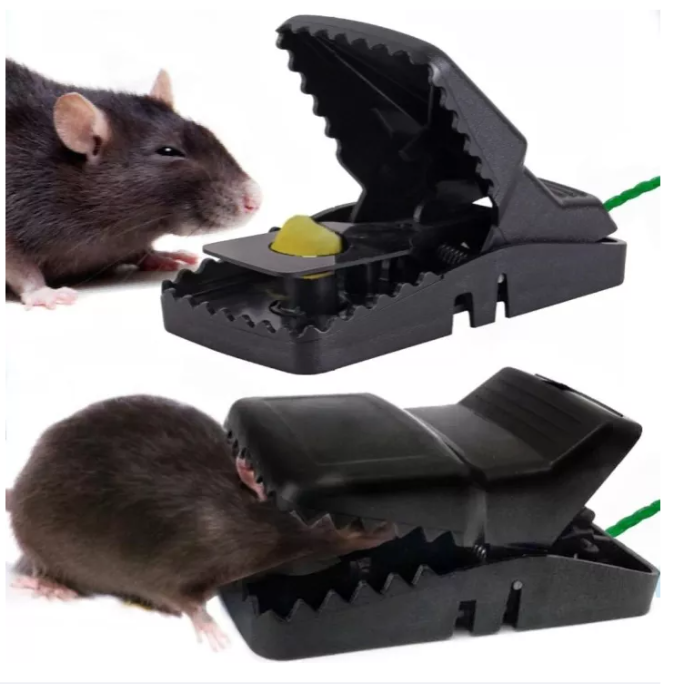 Quick-Snap Mouse Trap Control Rat Trap Killer Reusable Mouse trap Bait ...