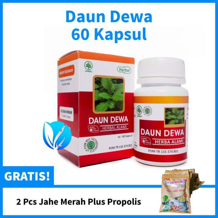 KAPSUL HIU DAUN DEWA - Suplemen Obat Herbal Pengobatan Penyakit TBC ...