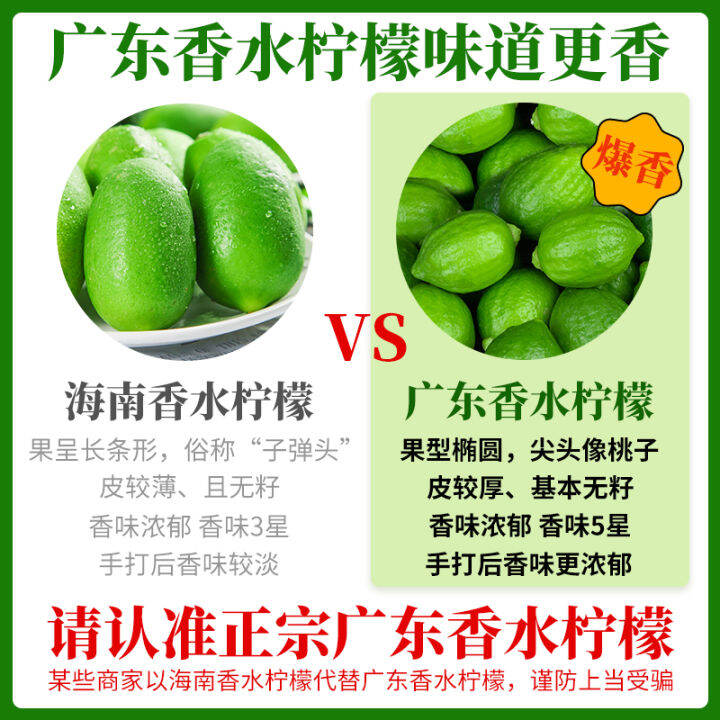 Guangdong perfume lemon fresh authentic green lemon commercial super ...