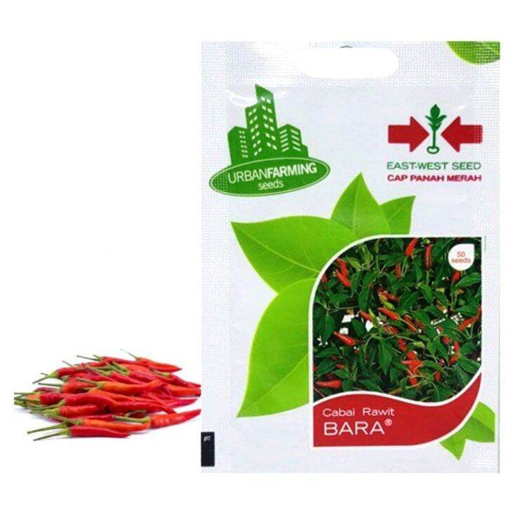 Benih Cabe Rawit Bara Cap Panah Merah Seed Cabai BARA Original Pack ...