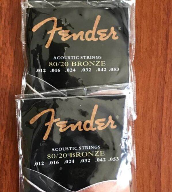 Fender Acoustic Guitar Strings ( ONE SET ) | Lazada PH
