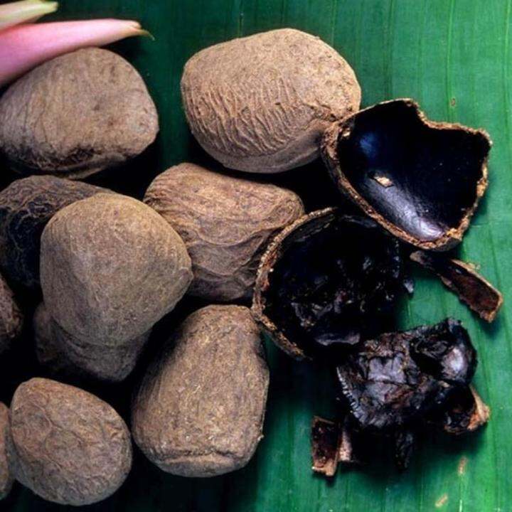 Kluwek Picung Pucung Kepayang Keluwak Bumbu Masakan Bumbu rawon gabus ...