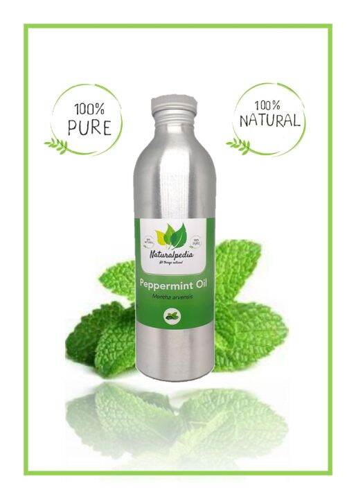 Pure Peppermint Essential Oil 500ml / Minyak Atsiri Esensial Daun Mint Murni | Lazada Indonesia