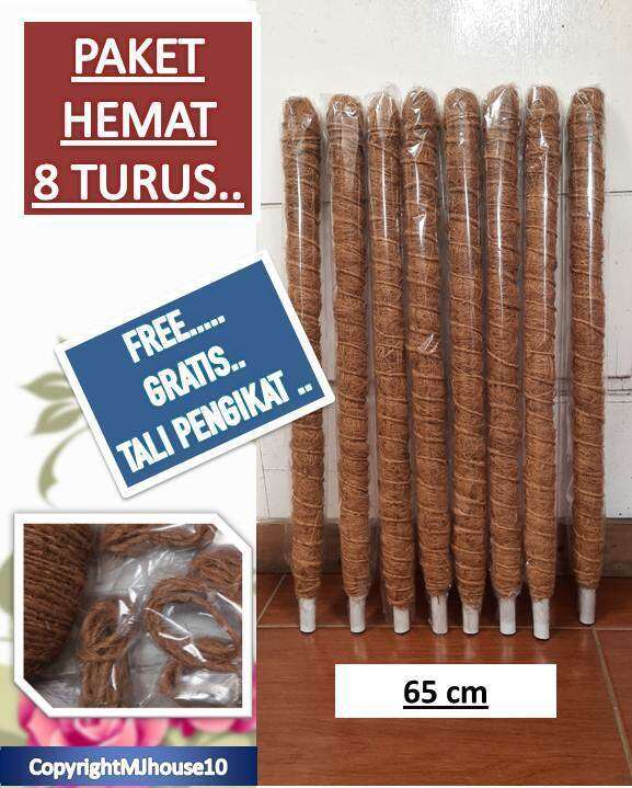 Paket 8 turus tanaman 65cm / penyangga tanaman / turus tanaman / turus ...