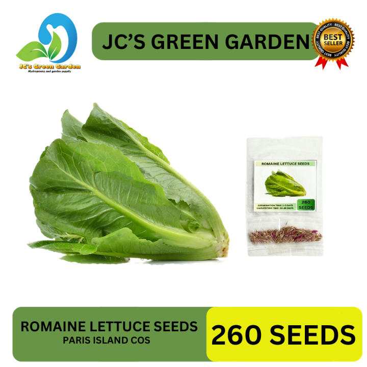 (260 SEEDS) ROMAINE LETTUCE/PARIS ISLAND COS/HYBRID/EASY TO GROW - 1PACK | Lazada PH