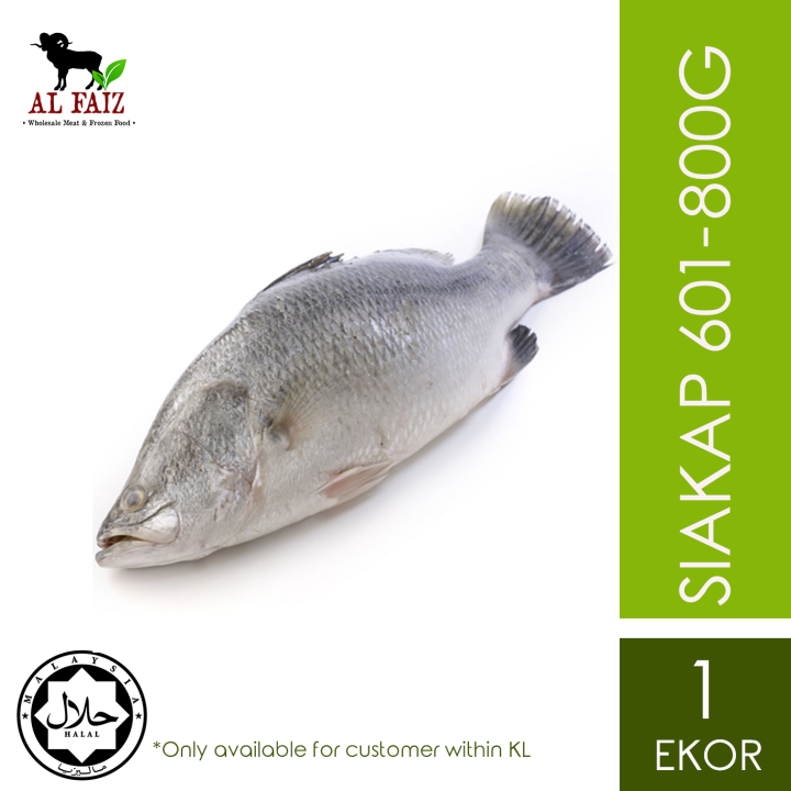 SIAKAP/ IKAN SIAKAP 601-800G P/PCS | Lazada