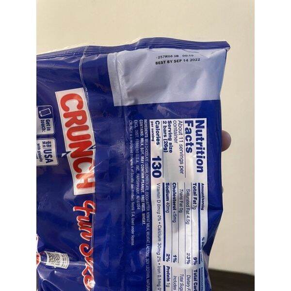 chocolate Crunch Fun size 283g | Lazada PH