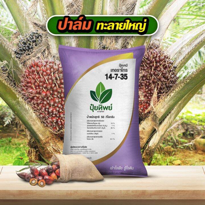 ปุ๋ยทิพย์ 14-7-35 +MgO+B 1 kg เร่งผล เพิ่มความหวาน เพิ่มน้ำหนัก | Lazada.co.th