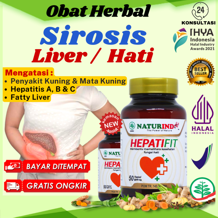 Obat Sirosis Hati Hepatitis A B C Penyakit Kuning Fatty Liver Bengkak ...