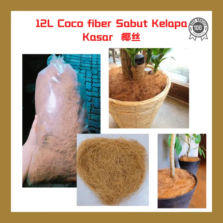 12L Coco fiber Sabut Kelapa Kasar 椰丝 椰壳纤维 Coconut Husk Serat Sabut ...