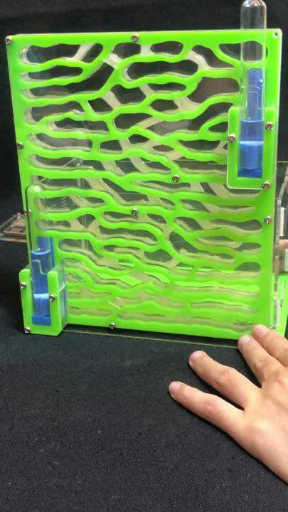 DIY Large Acrylic Ant Farm with Feeding Area Big Ants House Ant Nest ...