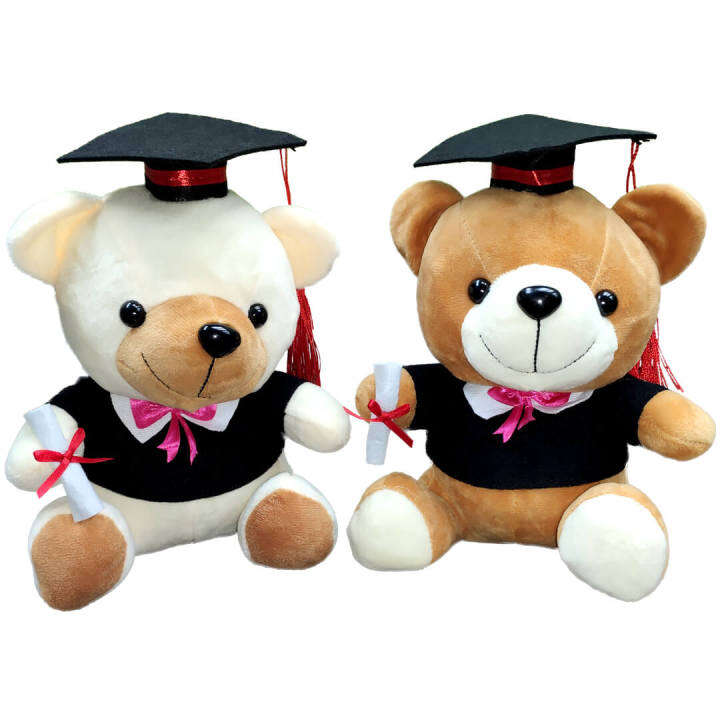 SHIOK 7 Inch Graduation Convo Bear With Ribbon Holding Certificate Soft ...