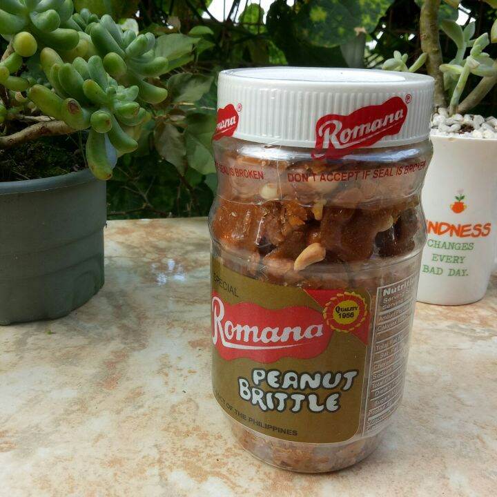 Romana peanut Brittle Tall 310 grams, Baguio Pasalubong | Lazada PH