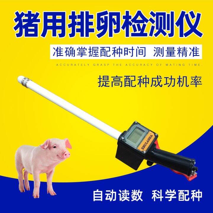 ∈ Pig with ovulation the dog detector breeding device sow oestrus ...
