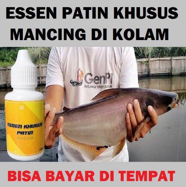 ESSEN PATIN KHUSUS MANCING DI KOLAM 30ML | Lazada Indonesia