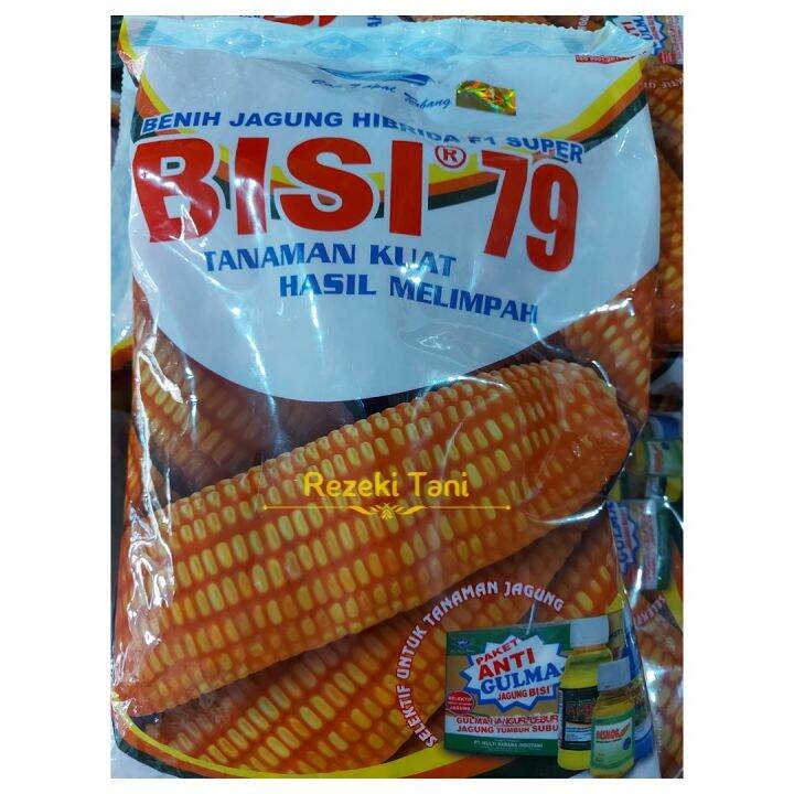 Benih Jagung Bisi 79 Cap kapal Terbang kemasan 1kg | Lazada Indonesia