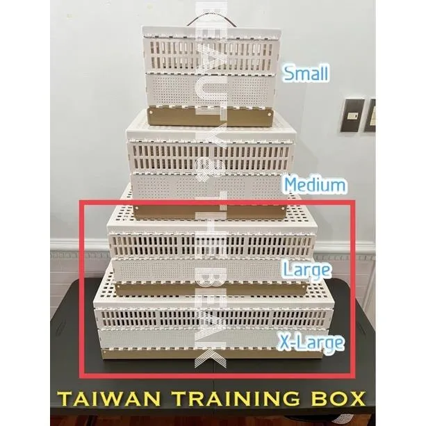 LARGE XL Taiwan Pigeon Foldable Training Box Tbox Cage Plastic ON HAND ...