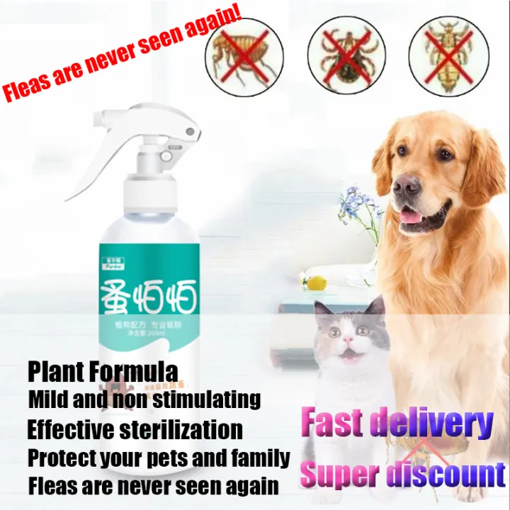Plant Formula Tick and Flea Killer for Dogs Spray Anti Flea and Ticks ...