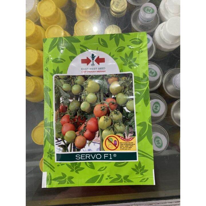 Benih tomat Servo F1 dari cap panah merah isi 1750 butir | Lazada Indonesia