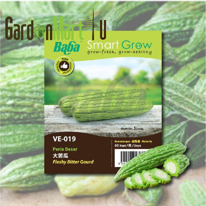 Baba Smart Grow Seeds VE-019 Hybrid Fleshy Bitter Gourd (Peria Tebal ...