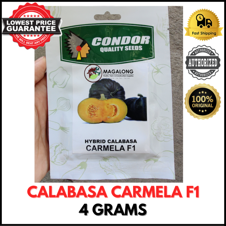 CONDOR SEEDS - CALABASA SEEDS - CARMELA F1 HYBRID 4 Grams | Lazada PH