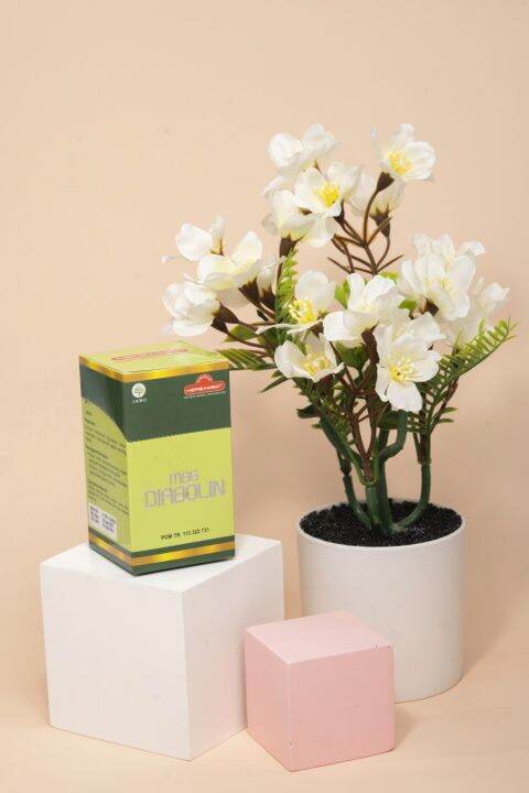 Kapsul Diabolin Herbamed Herbal Untuk Kesehatan Pankreas / Diabetes ...