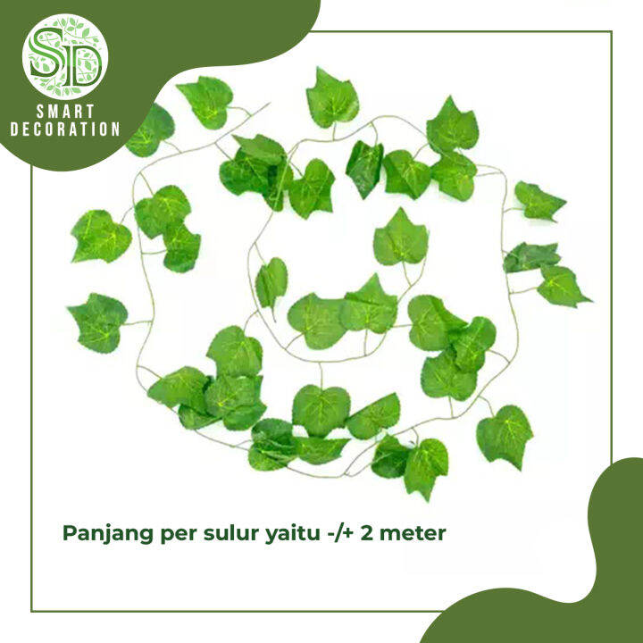 Daun Rambat Kecil Plastik 2 Meter Bunga Sulur ivy Artificial Lotus ...