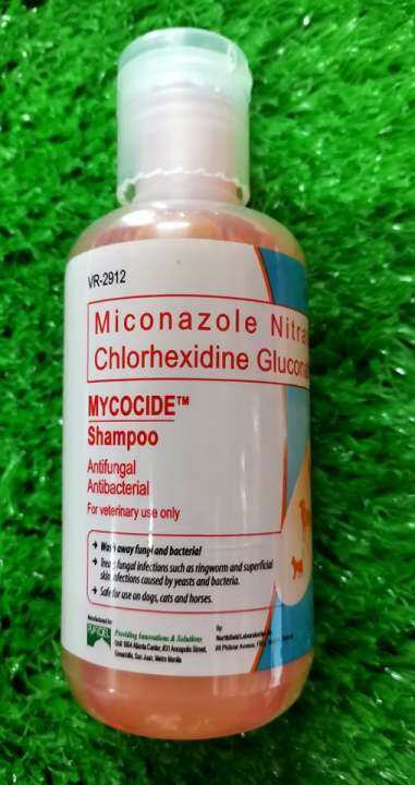 Mycocide Shampoo (Anti-fungal | Antibacterial) for dogs, cats, and ...