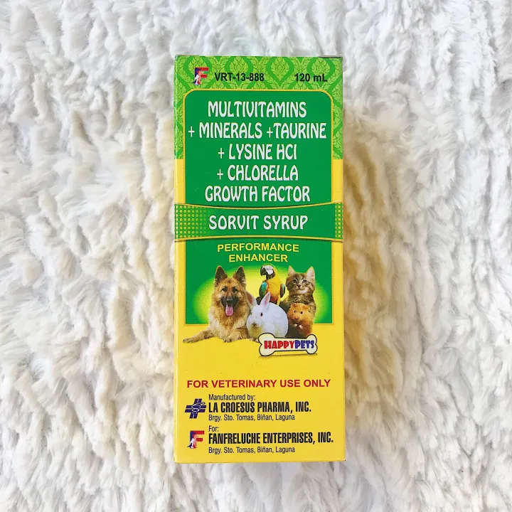 SORVIT SYRUP 120ML | Lazada PH