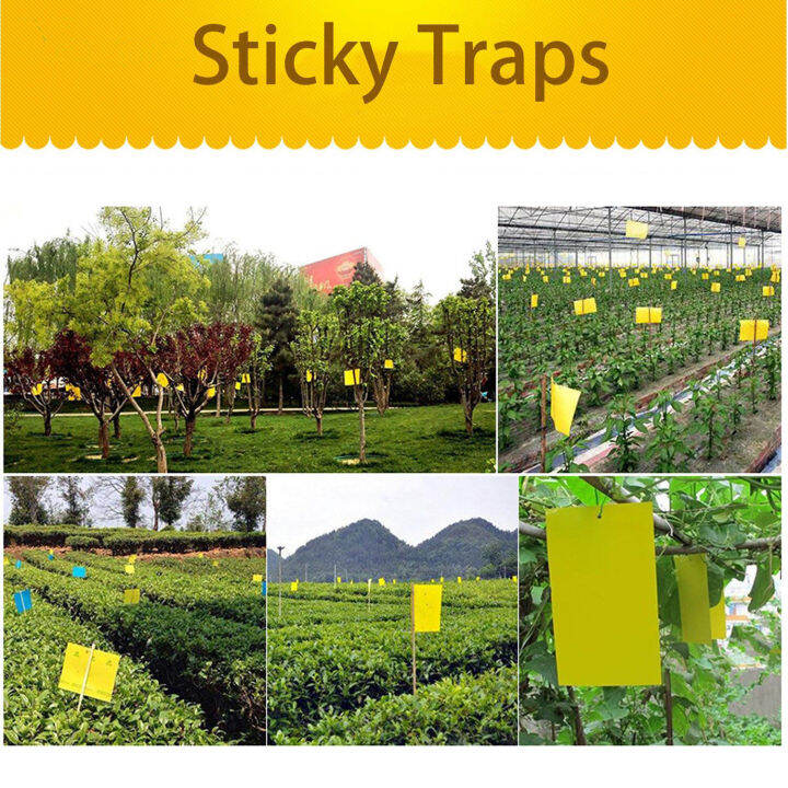 Dual Sided Sticky Traps BoardYellow Fly Sticky Traps Boards Insect ...