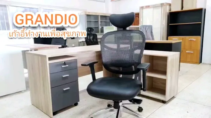 Grandio เก้าอี้ทำงานเพื่อสุขภาพ Ergonomic Office Chair ตามหลักสรีระศาสตร์ ส่งฟรี รับประกัน 5 ปี ...