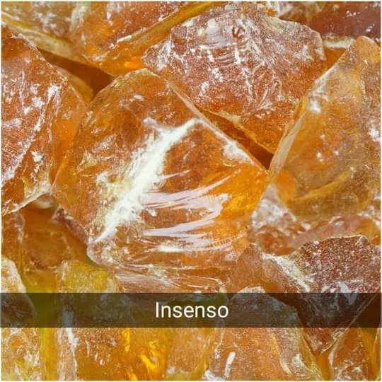 INSENSO BUO 500g & 1 KILO | Lazada PH