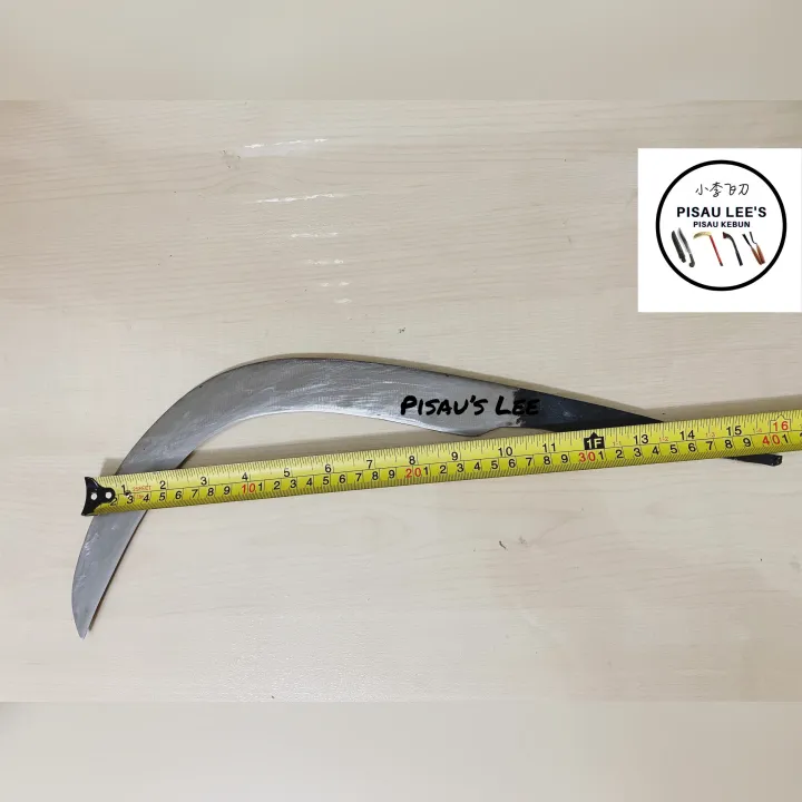 Sabit Panjang Kelapa Sawit （Pokok Muda) / 油棕镰 (小树） | Lazada