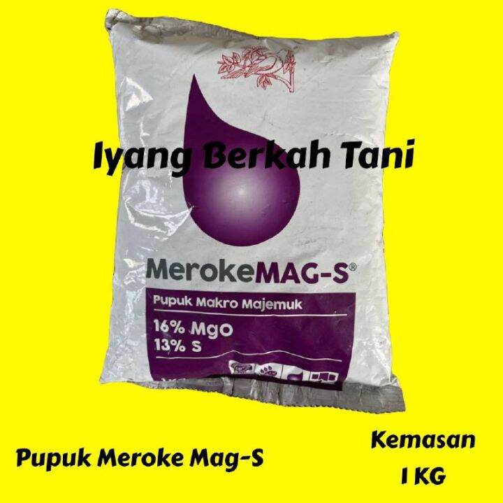 PUPUK MEROKE MAG-S UNTUK MENGHIJAUKAN DAUN DAN NUTRISI BAKU HIDROPONIK ...