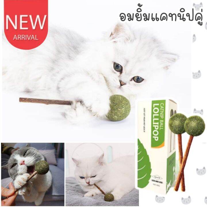CatHoliday อมยิ้มแคทนิปคู่ แคทนิปแมว ขนมแมว | Lazada.co.th