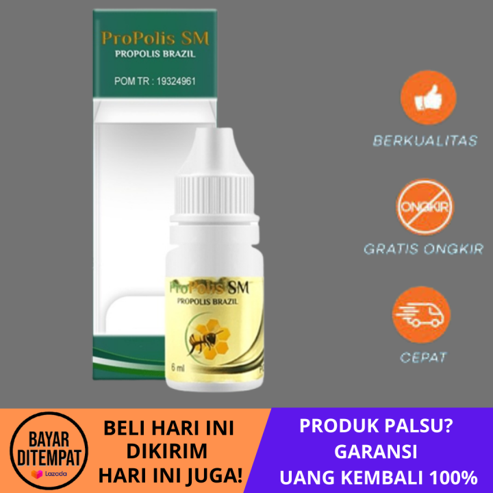 Obat Sinusitis Pilek Menahun, Nyeri Di Wajah, Sumbatan Pada Hidung ...